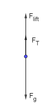 Identifying Free-Body Diagrams for Systems in Equilibrium Practice ...