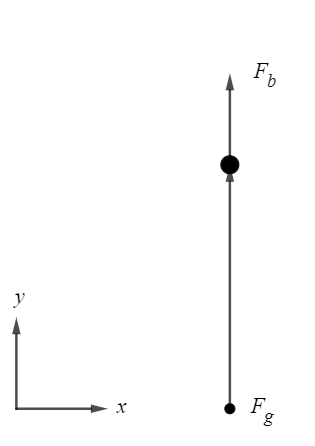 Drawing a Free Body Diagram for a Fully Submerged Object Based on its ...
