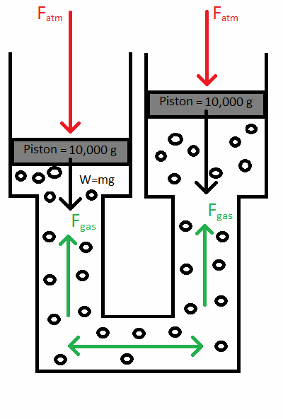 Drawing a Free Body Diagram for a Piston Practice | Physics Practice ...