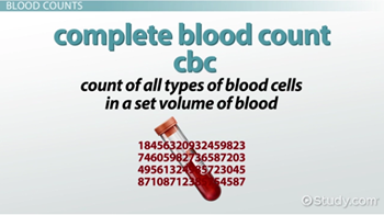 Blood Count Test Terminology - Lesson | Study.com