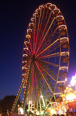 Character of Henry Fussy in Charlotte's Web | Study.com