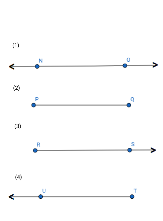 Naming Segments, Rays and Lines Practice | Geometry Practice Problems ...