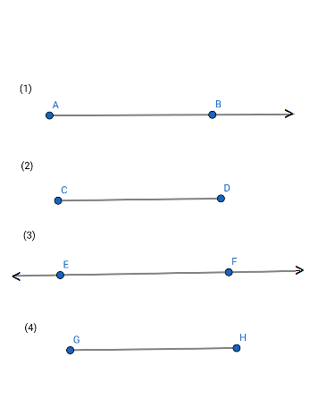 Naming Segments, Rays and Lines Practice | Geometry Practice Problems ...