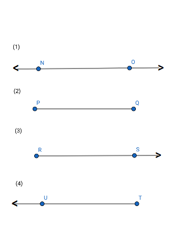 Naming Segments, Rays and Lines Practice | Geometry Practice Problems ...