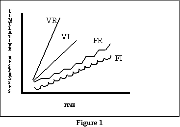 AP Psychology Practice Test