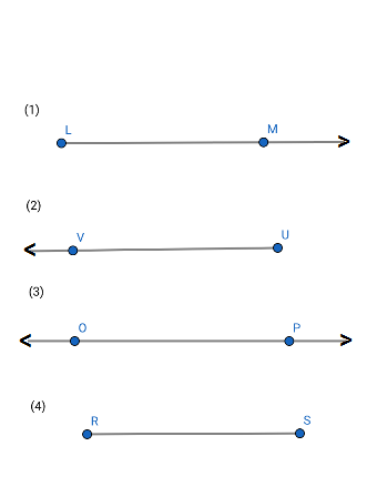 Naming Segments, Rays and Lines Practice | Geometry Practice Problems ...