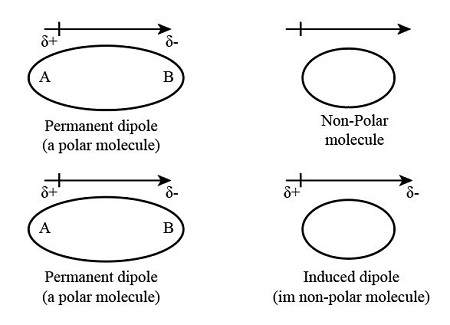 What is an induced dipole? | Study.com