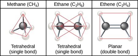 How do you identify how many tetrahedral carbon atoms are in a molecule ...