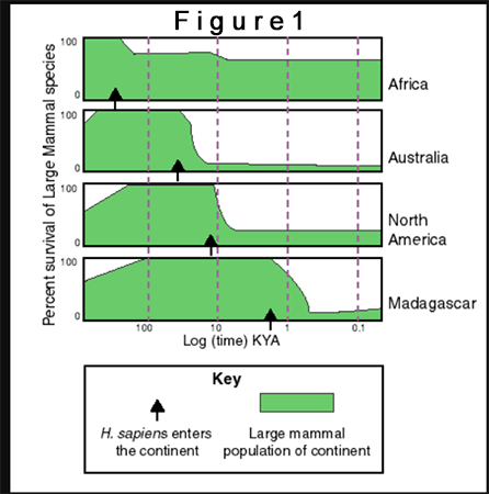 Analyzing the Occurrence of Extinction throughout History Practice ...