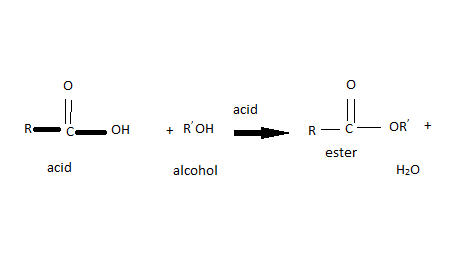Write a Fischer esterification reaction | Study.com