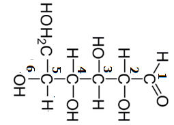 Haworth Projection | Purpose, Formulation & Examples - Lesson | Study.com