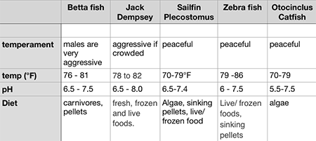 Describing How Selective Pressures on Populations Change an Environment ...