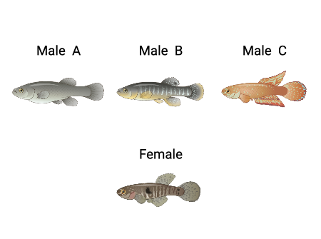 Analyzing How Biotic & Abiotic Factors Contribute to Changes in Gene ...