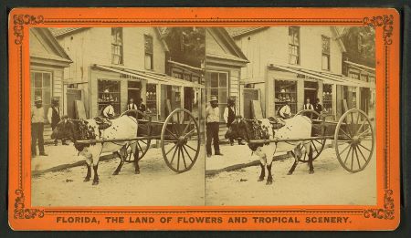 Florida Cracker | Meaning, Architecture & History | Study.com