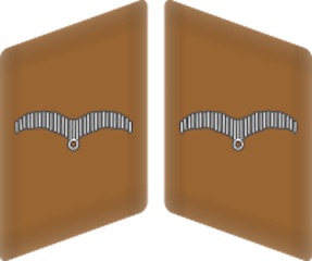 German Luftwaffe Overview & Ranks | What was the Luftwaffe? | Study.com