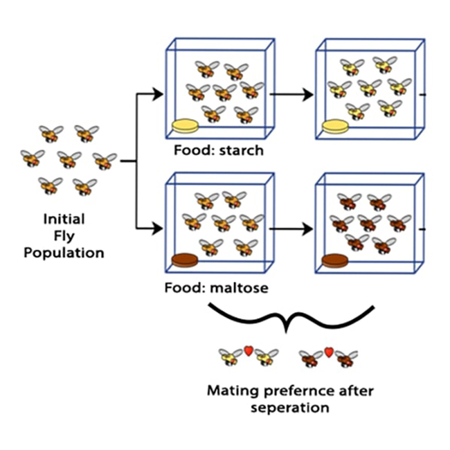 Predicting How Organisms Interact Based on their Ecosystems Practice ...