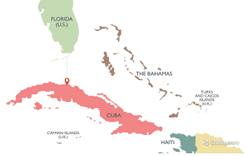 Florida Demographics | Population, Racial & Ethnic Groups - Lesson ...
