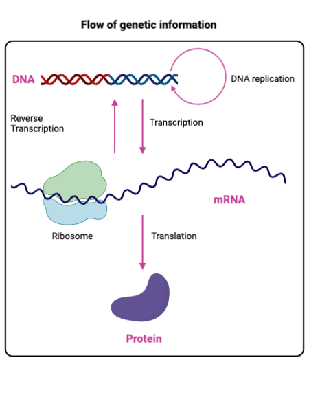 Analyzing How Organic Molecules Have Been Synthesized Practice ...