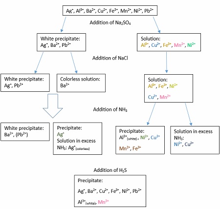 Qualitative Analysis Of Anions Flow Chart