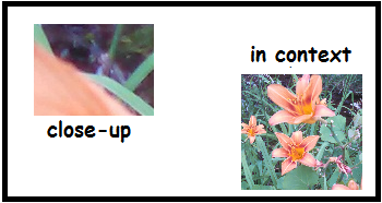 Using Context to Interpret Common Foreign Words: Lesson for Kids ...