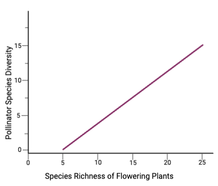 Identifying Ways to Sustain Biodiversity Practice | Biology Practice ...