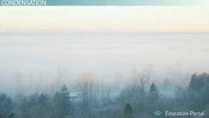 Water Cycle Definition, Phases & Importance - Lesson | Study.com