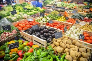 What is Food? | Definition, Types & Nutrition | Study.com