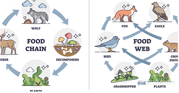 Scientific Model | Definition, Types & Purpose - Lesson | Study.com