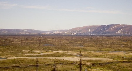 Primary Productivity | Definition & Effects - Lesson | Study.com