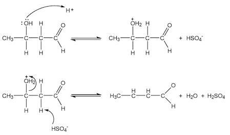 Acid-catalyzed dehydration of \beta -hydroxy carbonyl compounds occurs ...