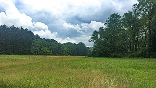 Fort Necessity History, Battle & Significance | Battle of Fort ...