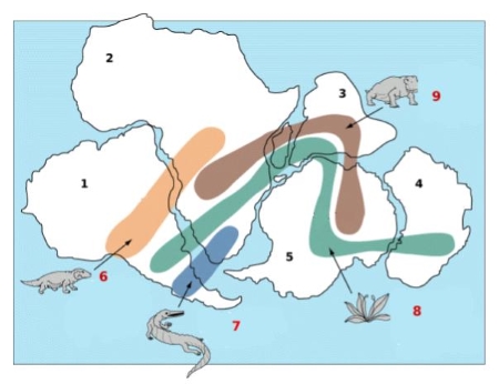 Organizing Quantitative Data to Compare & Contrast Rock & Fossil Types ...