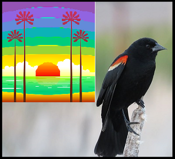 Frindle Chapter 1 Summary | Study.com