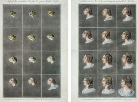 VCLA - Reading (091): Practice & Study Guide - Practice Test Questions ...