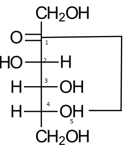 Haworth Projection | Purpose, Formulation & Examples - Lesson | Study.com