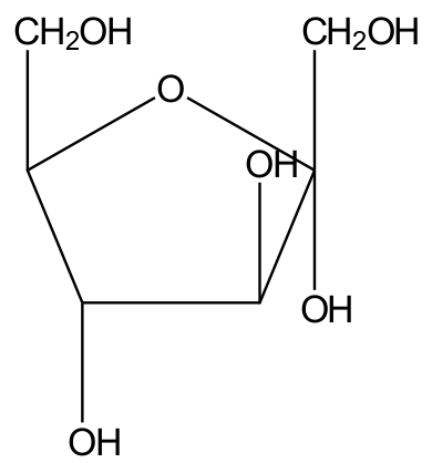 Haworth Projection | Purpose, Formulation & Examples - Lesson | Study.com
