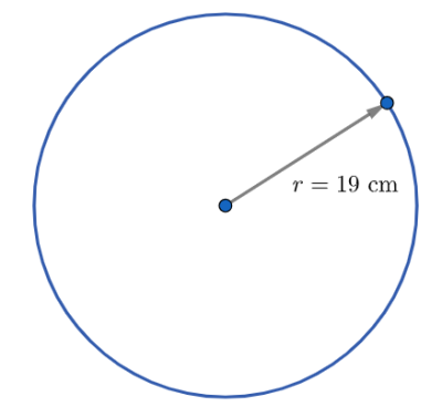 Distinguishing Between the Area & Circumference of a Circle Practice ...