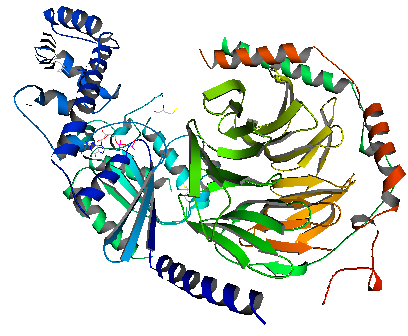 Protein | Overview, Composition & Primary Functions - Lesson | Study.com