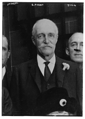 Gifford Pinchot | Biography, Career & Facts | Study.com