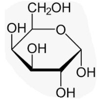 Hydrolysis of Carbohydrates | Definition & Examples - Lesson | Study.com