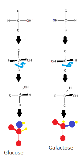 Fischer Projection Definition Rules Lesson Study