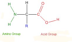 Macromolecules Definition, Types & Uses - Lesson | Study.com