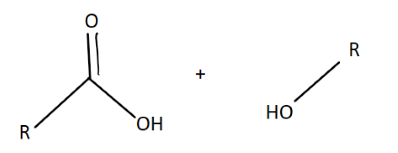 How to Predict the Reactants of Ester Hydrolysis | Chemistry | Study.com