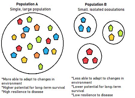 Comparing & Contrasting Biodiversity in Different Environments Practice ...