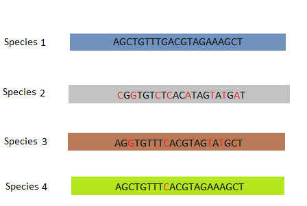 Comparing Genomic Changes, Continuous Changes in Fossils, Resistance ...