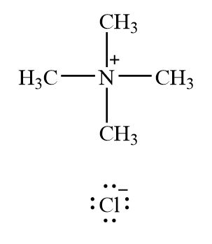 What Is The Lewis Structure Of Ch3 2nh2cl Youtube