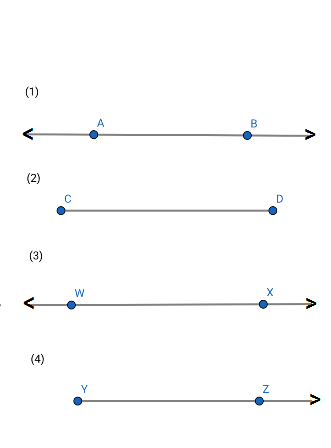 Naming Segments, Rays and Lines Practice | Geometry Practice Problems ...