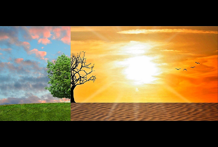 Weather vs. Climate | Overview & Differences - Lesson | Study.com