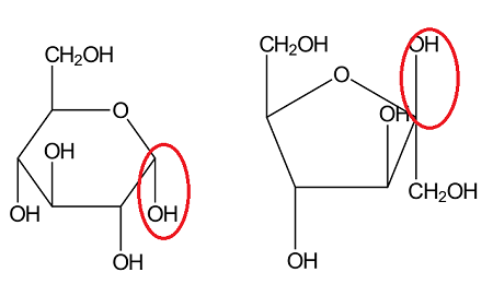 Haworth Projection | Purpose, Formulation & Examples | Study.com