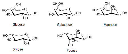 Categorizing the Four Biological Macromolecule Monomers Based on an ...